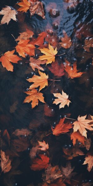 100+ Gorgeous Free Fall Phone Wallpapers - Days Inspired